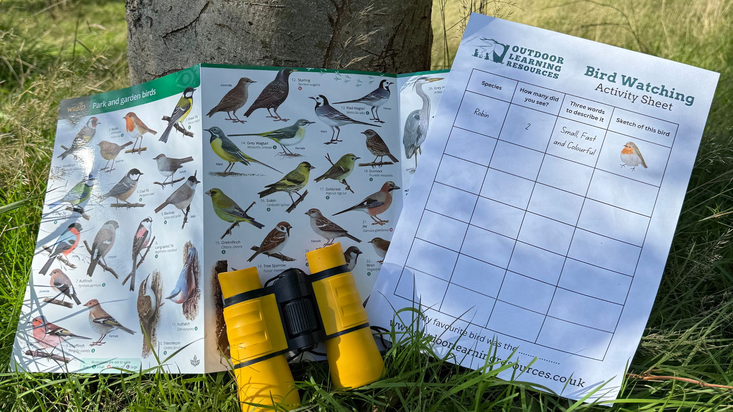 Activity Sheet Download - Bird Watching – Outdoor Learning Resources