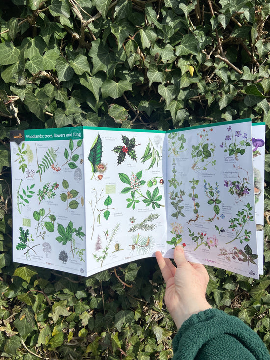 Outdoor Learning Resources