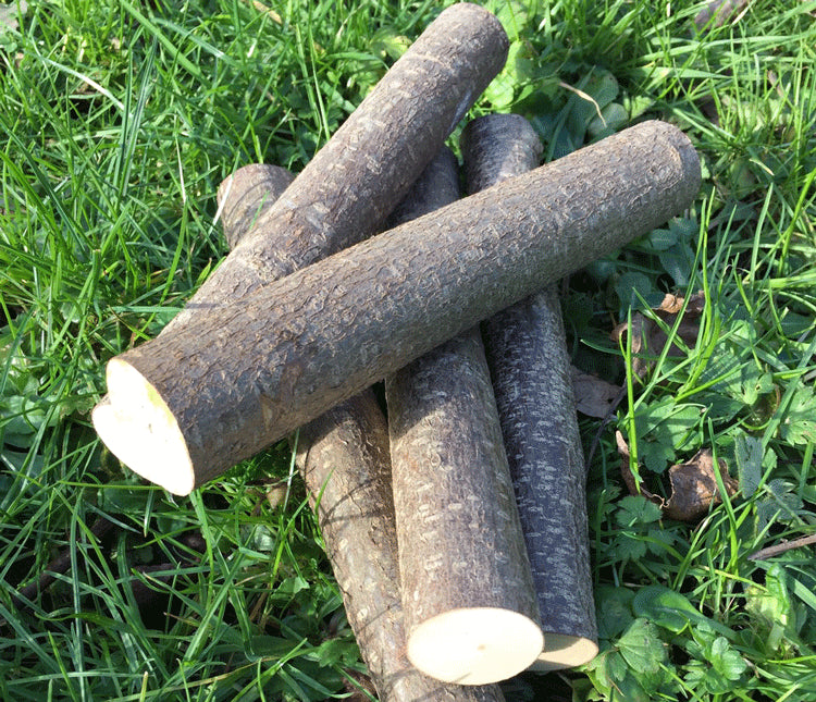 20 Sticks - 20 cm lengths – Outdoor Learning Resources