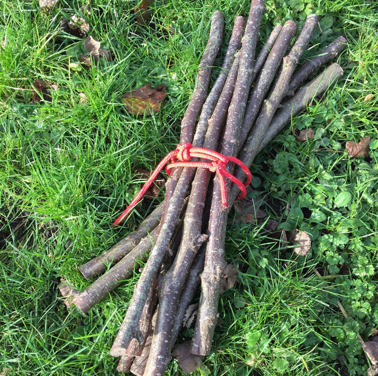 8 Sticks - 50 cm length – Outdoor Learning Resources