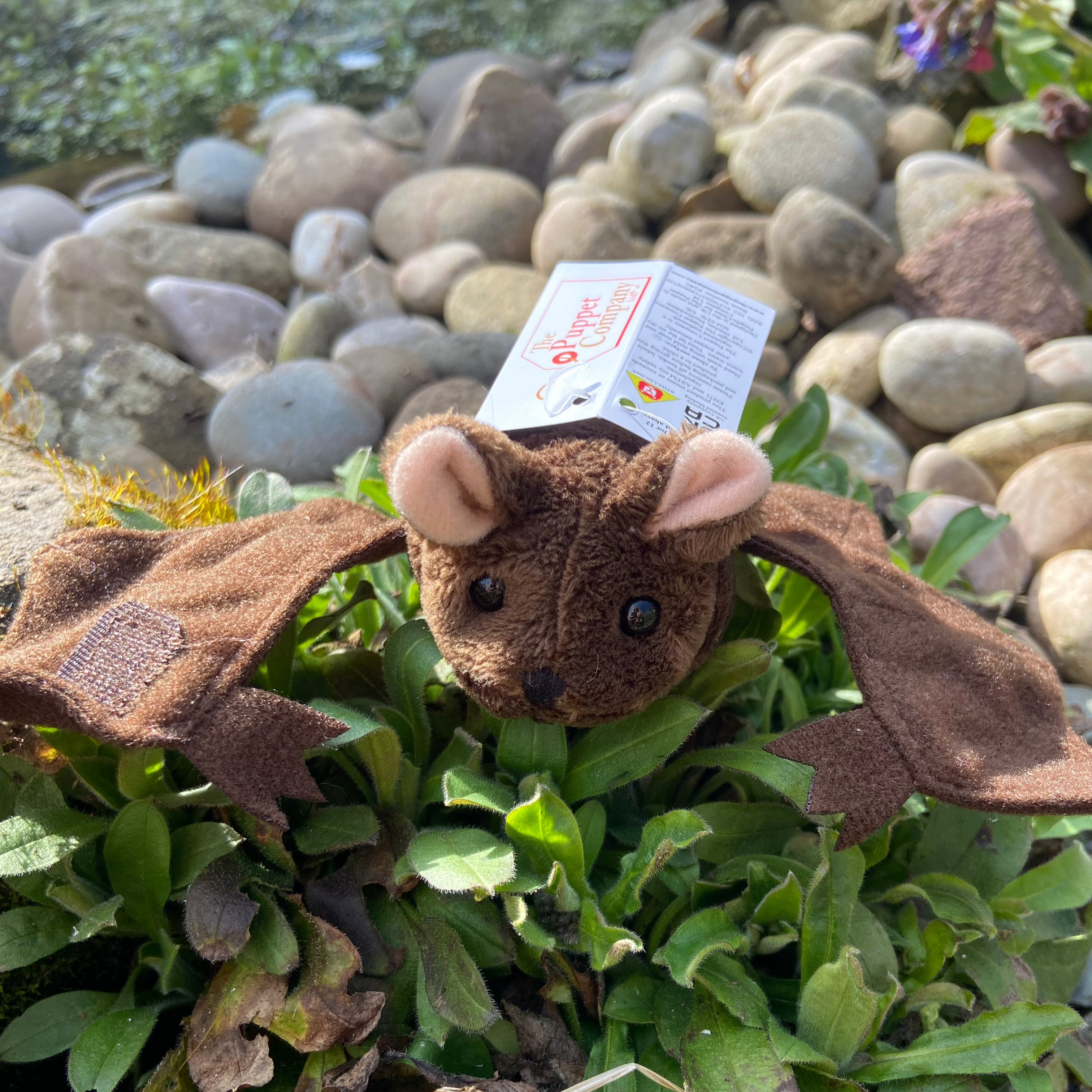 Bat Finger Puppet – Outdoor Learning Resources