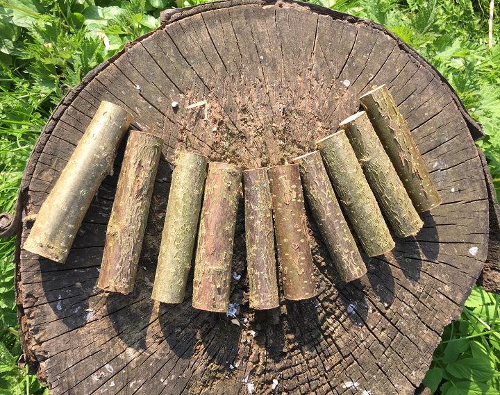 20 Sticks - 10cm lengths – Outdoor Learning Resources